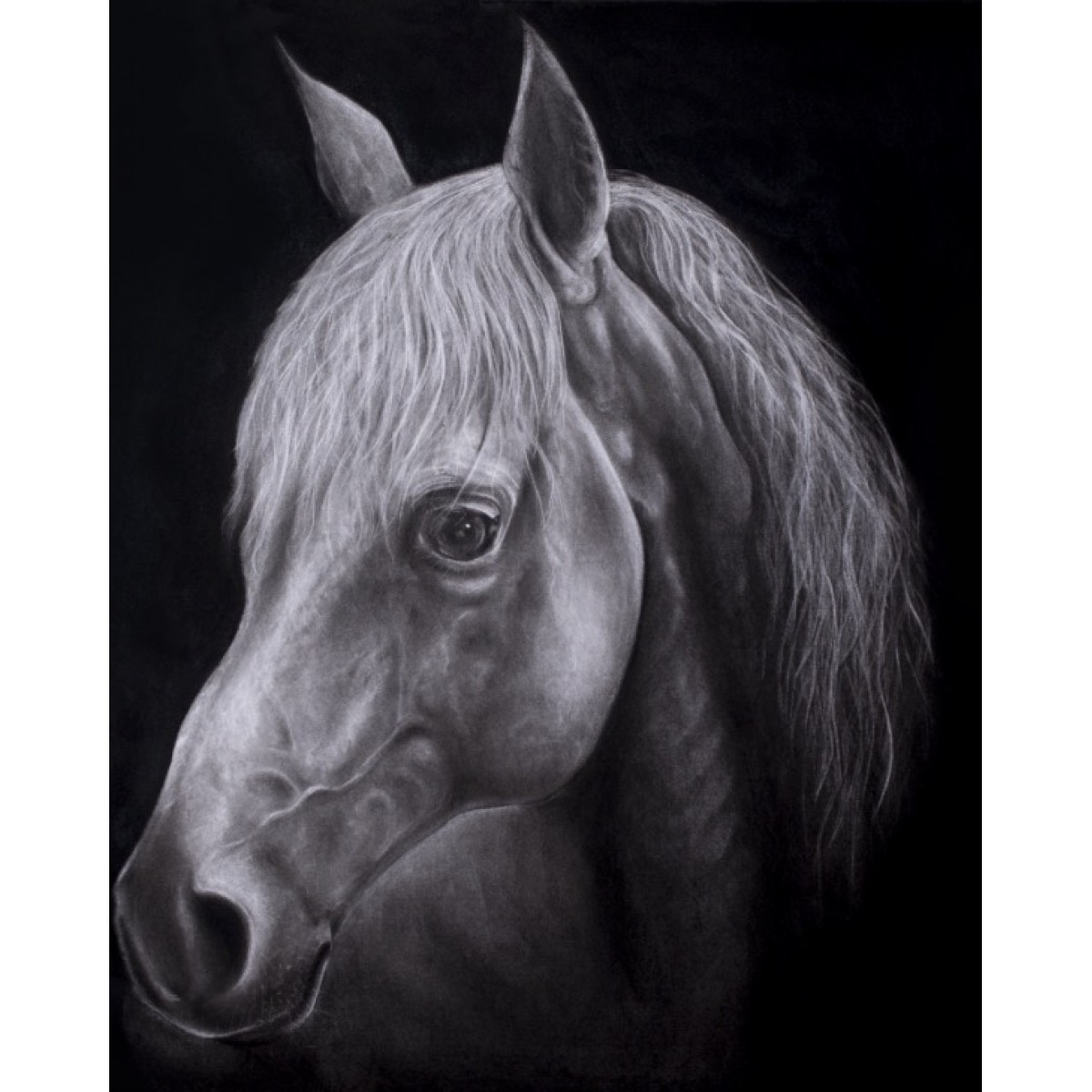 Arabian Princess - Fine Art Print